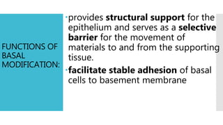 BASAL-MODIFICATION-PPT.pptx