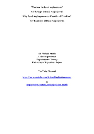 Basal angiosperms || Key Groups of Basal Angiosperms | PDF