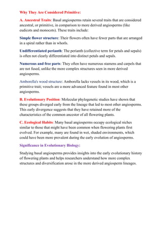 Basal angiosperms || Key Groups of Basal Angiosperms | PDF