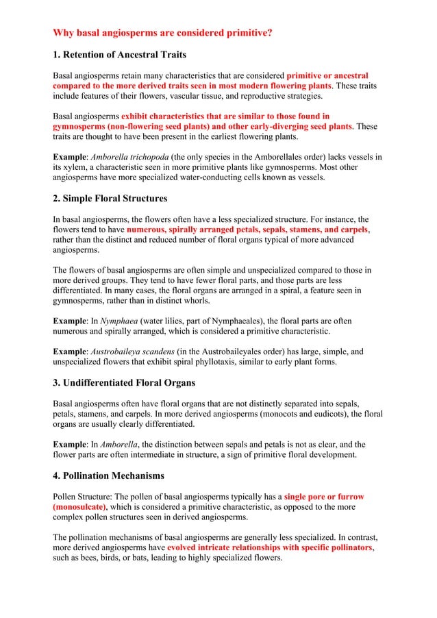 Basal angiosperms || Key Groups of Basal Angiosperms | PDF