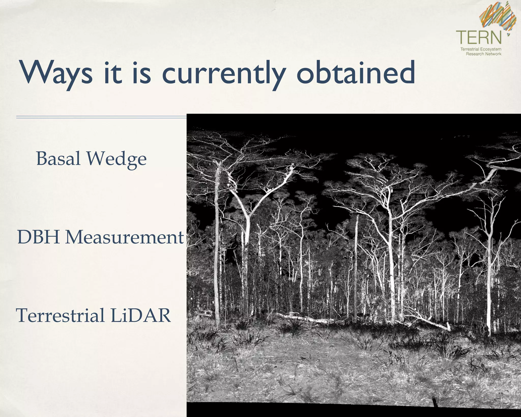 Basal area from_photos___is_it_possible? | PPT