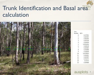 Basal area from_photos___is_it_possible? | PPT