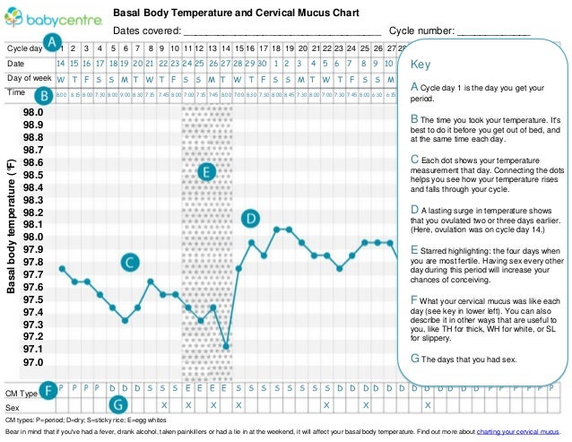 Basal Body Temperature Chart Examples
