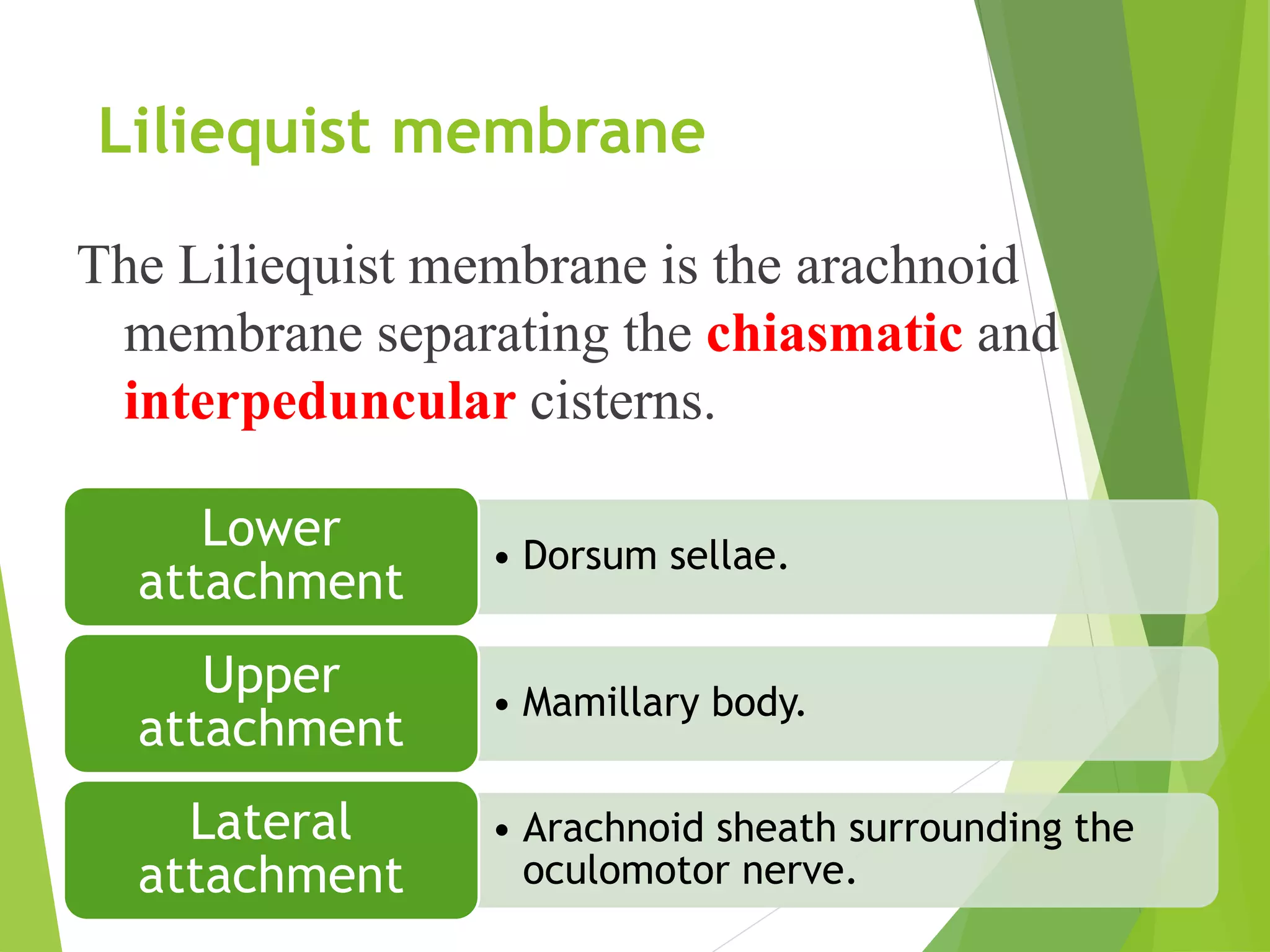 basal cisterns final.ppt