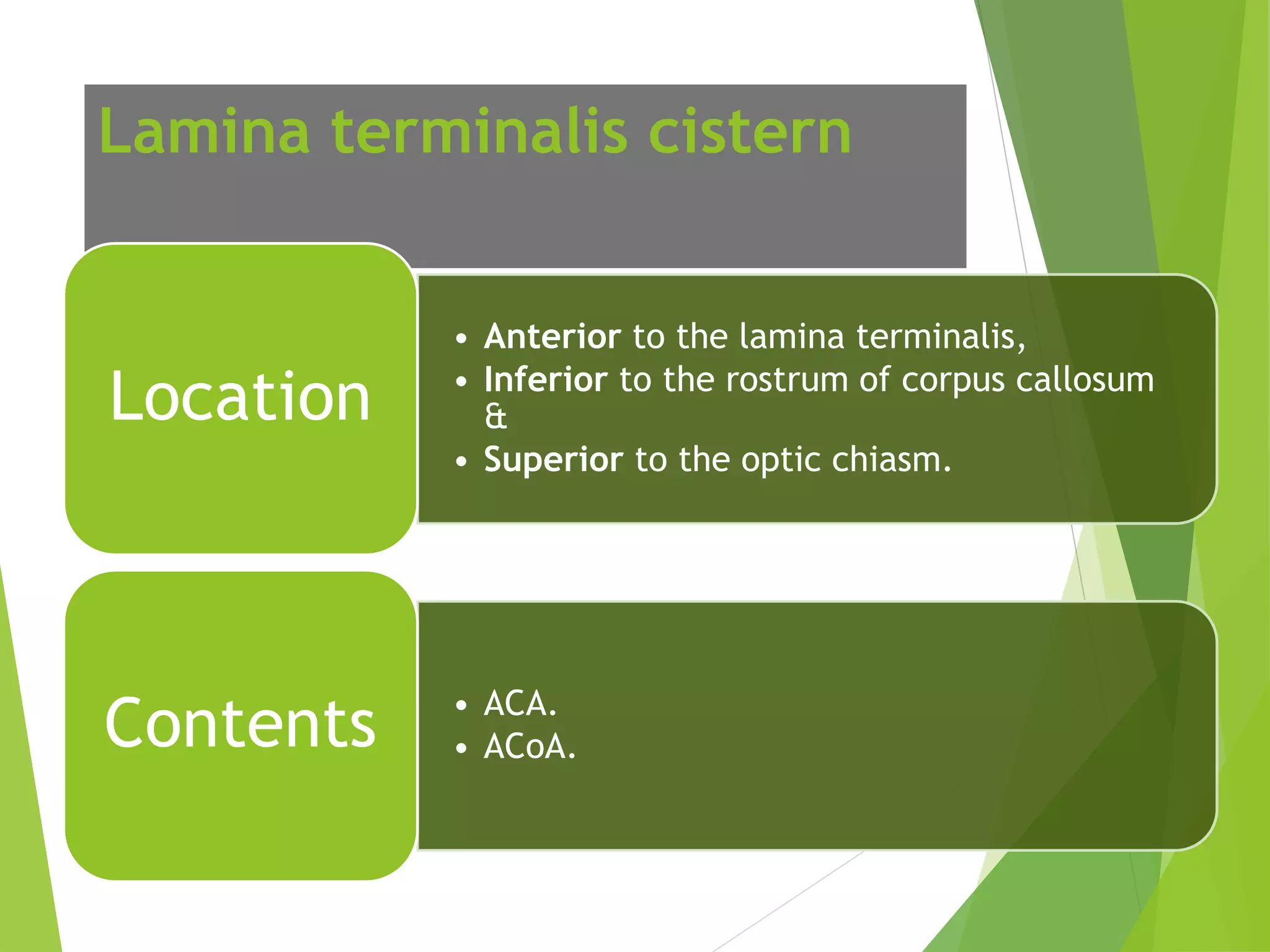 basal cisterns final.ppt
