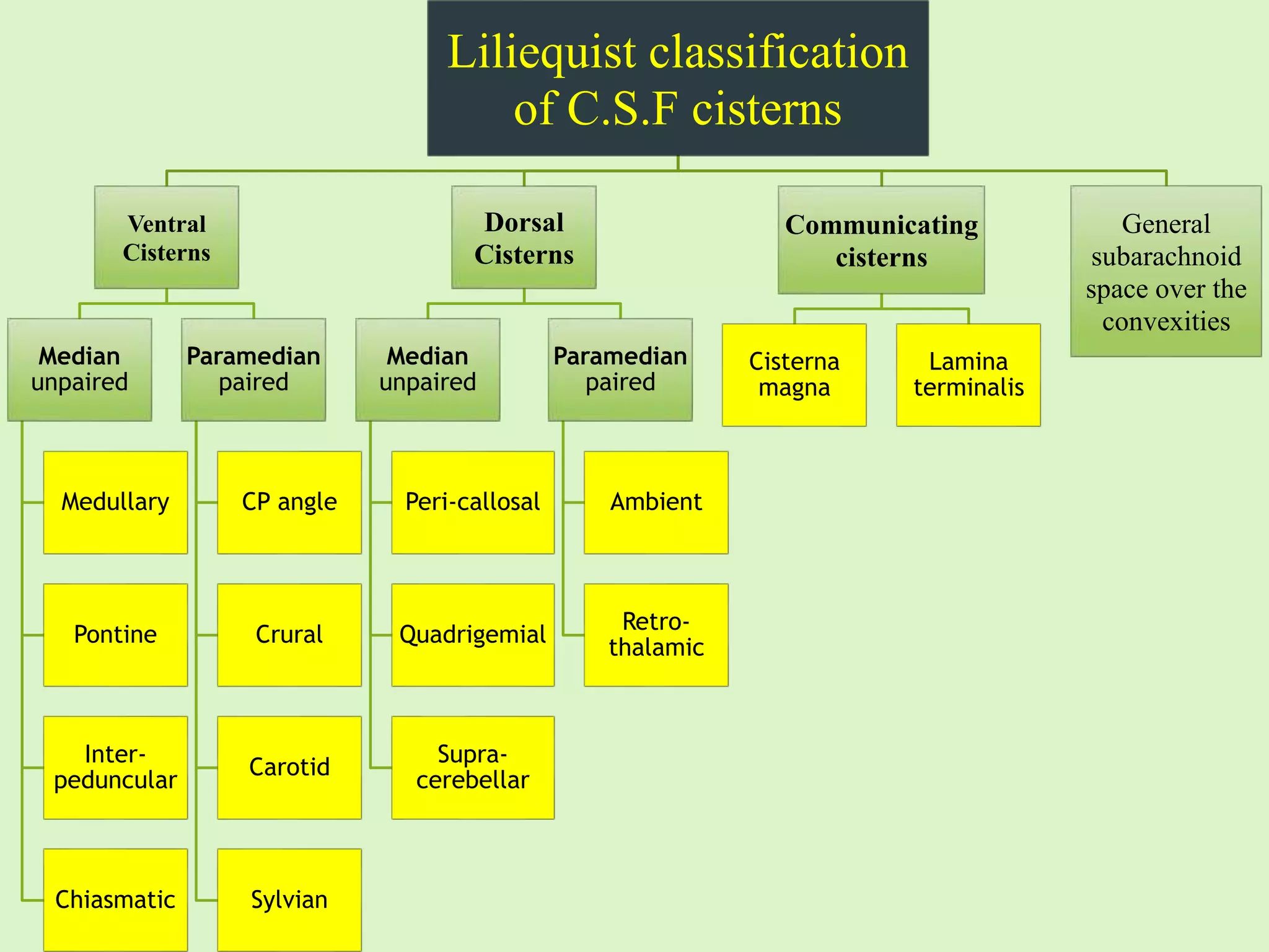 basal cisterns final.ppt