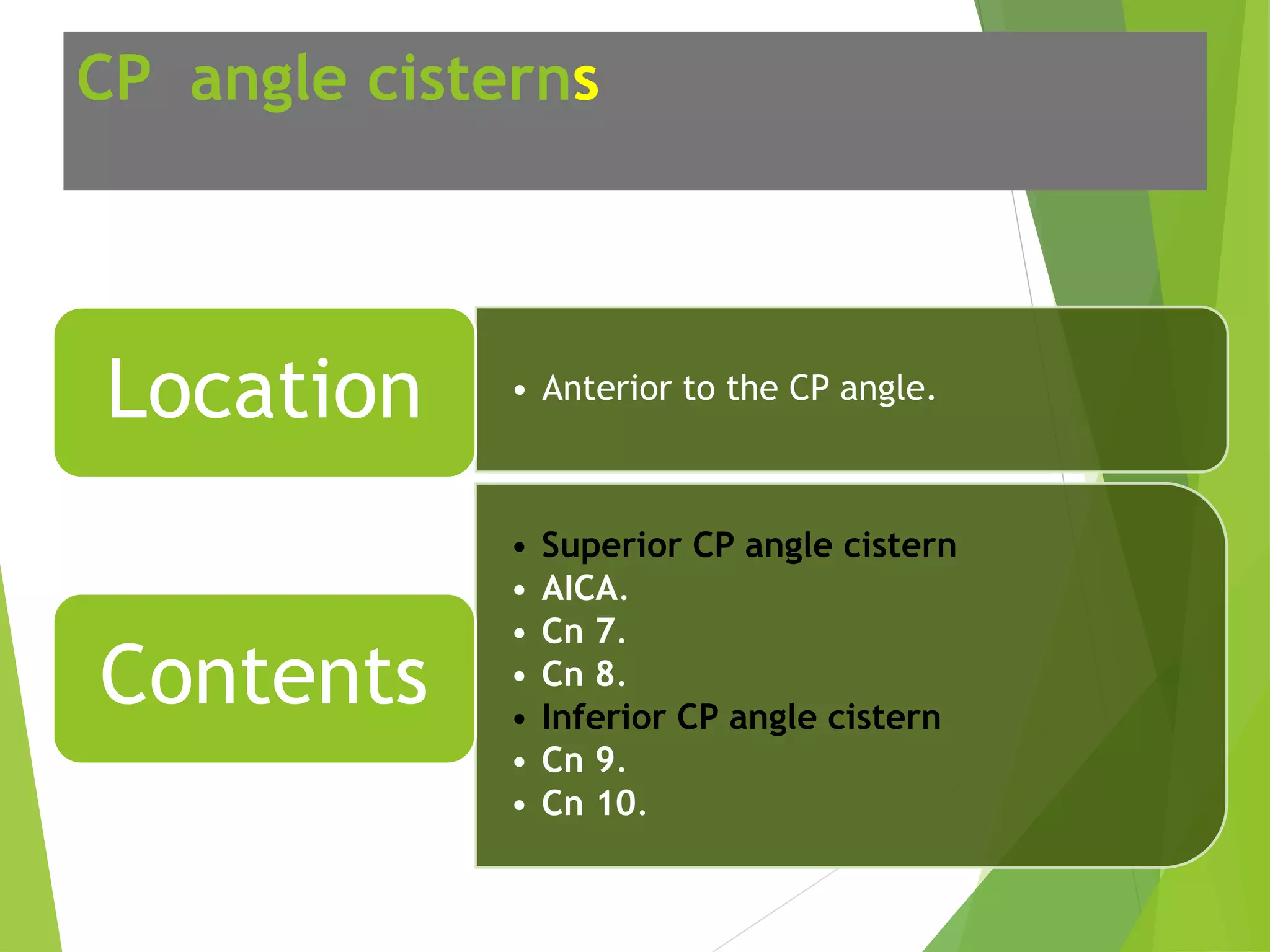 basal cisterns final.ppt