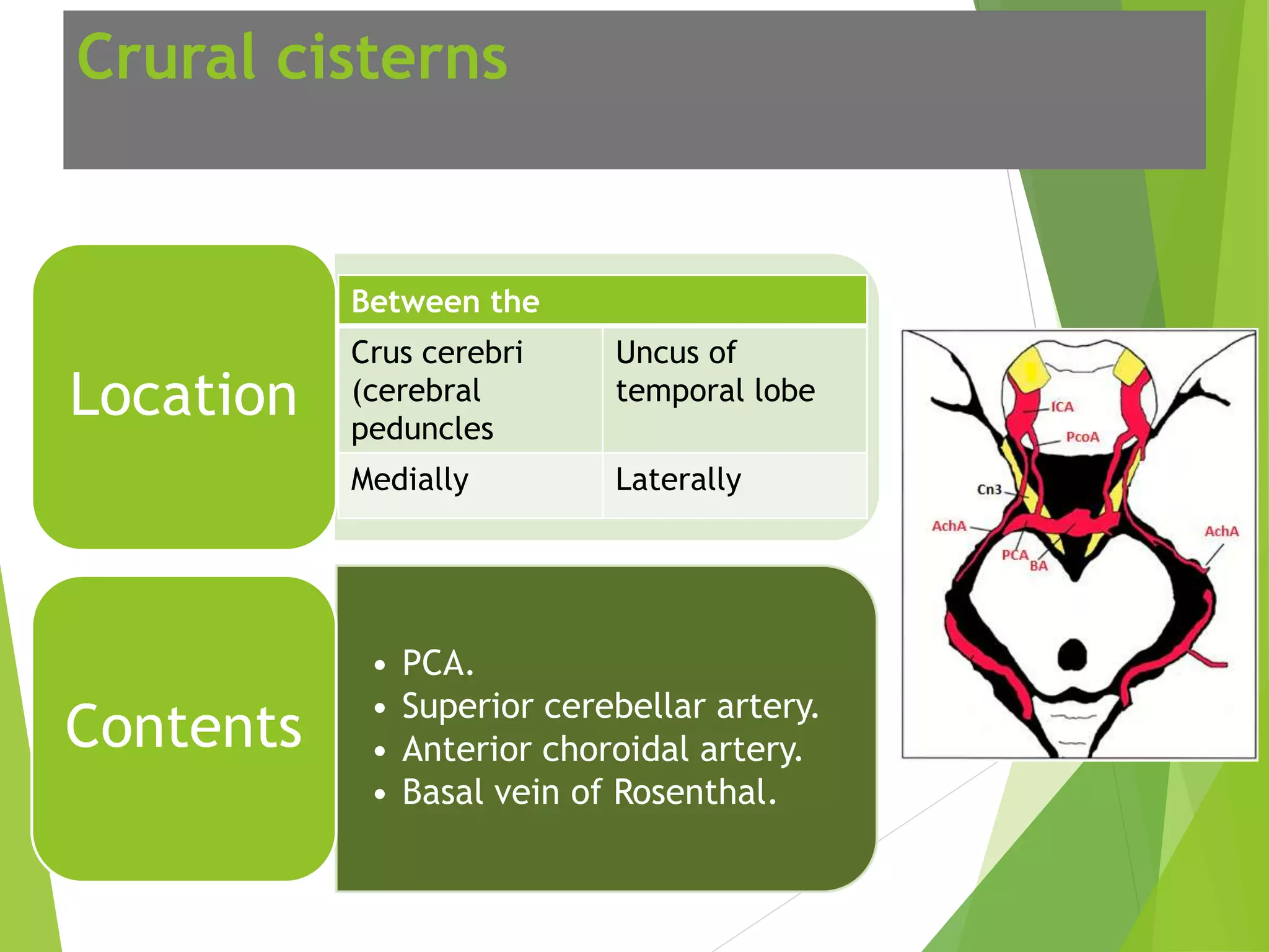 basal cisterns final.ppt