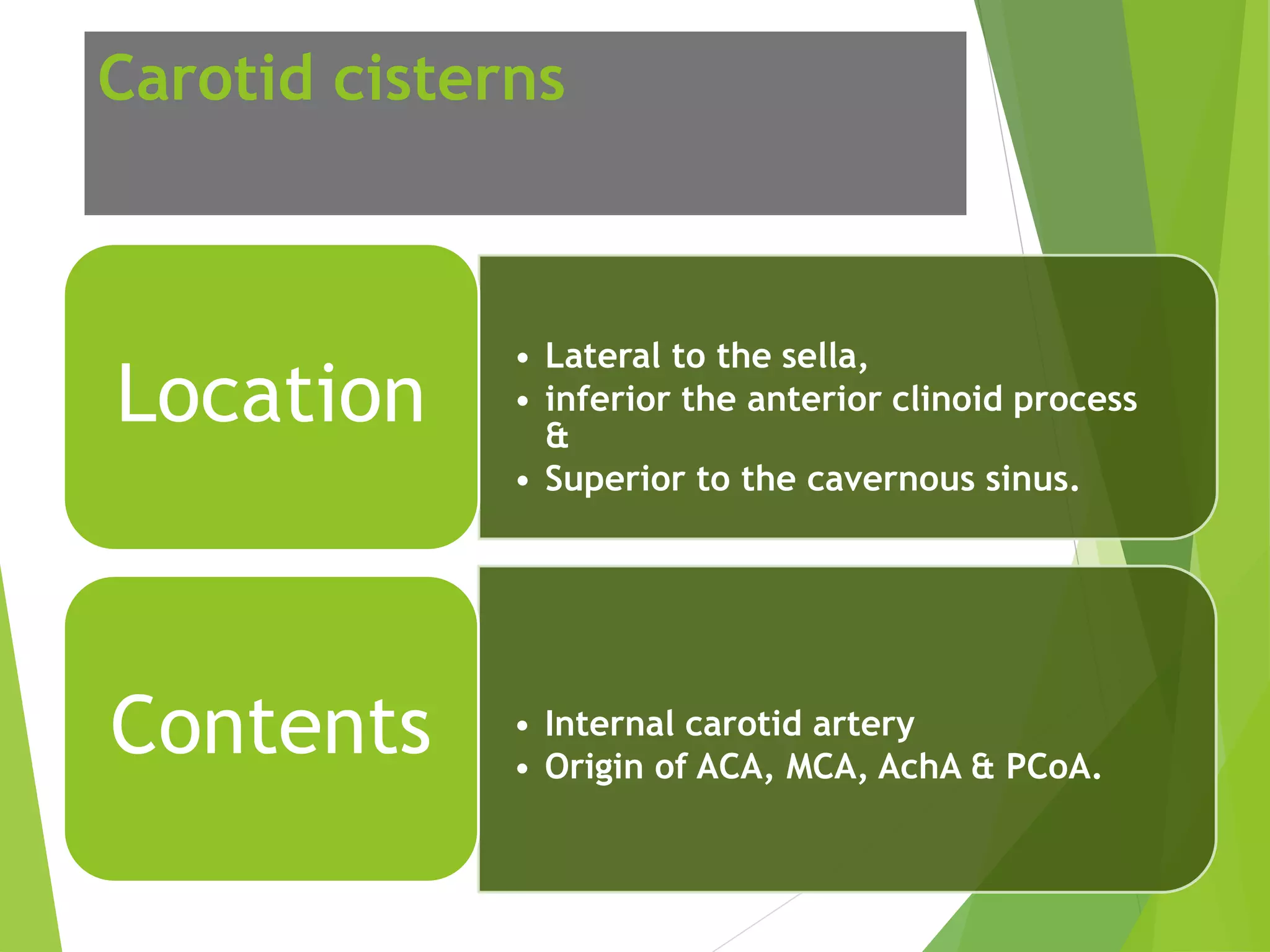 basal cisterns final.ppt