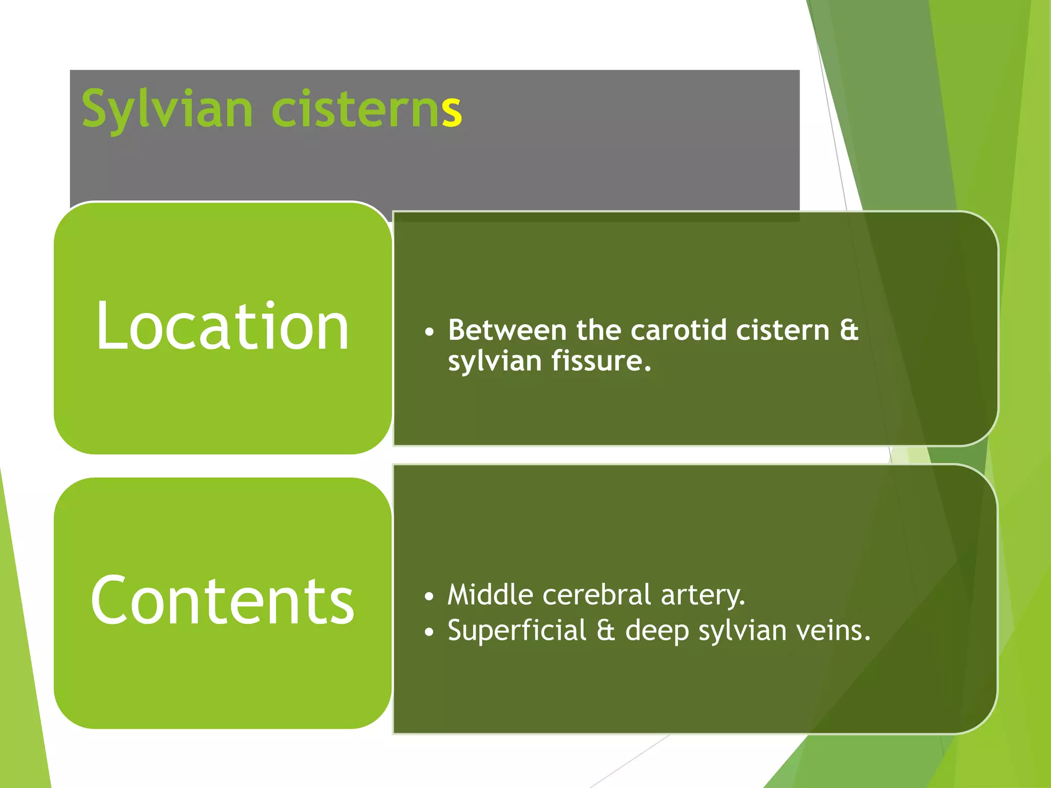 basal cisterns final.ppt