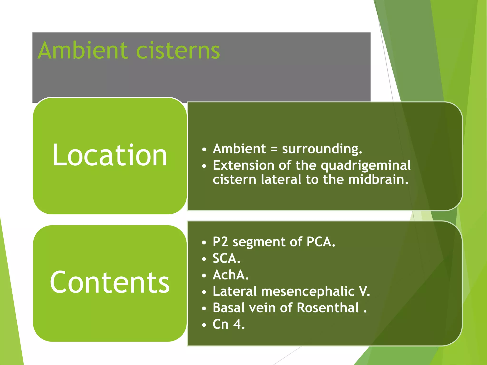 basal cisterns final.ppt