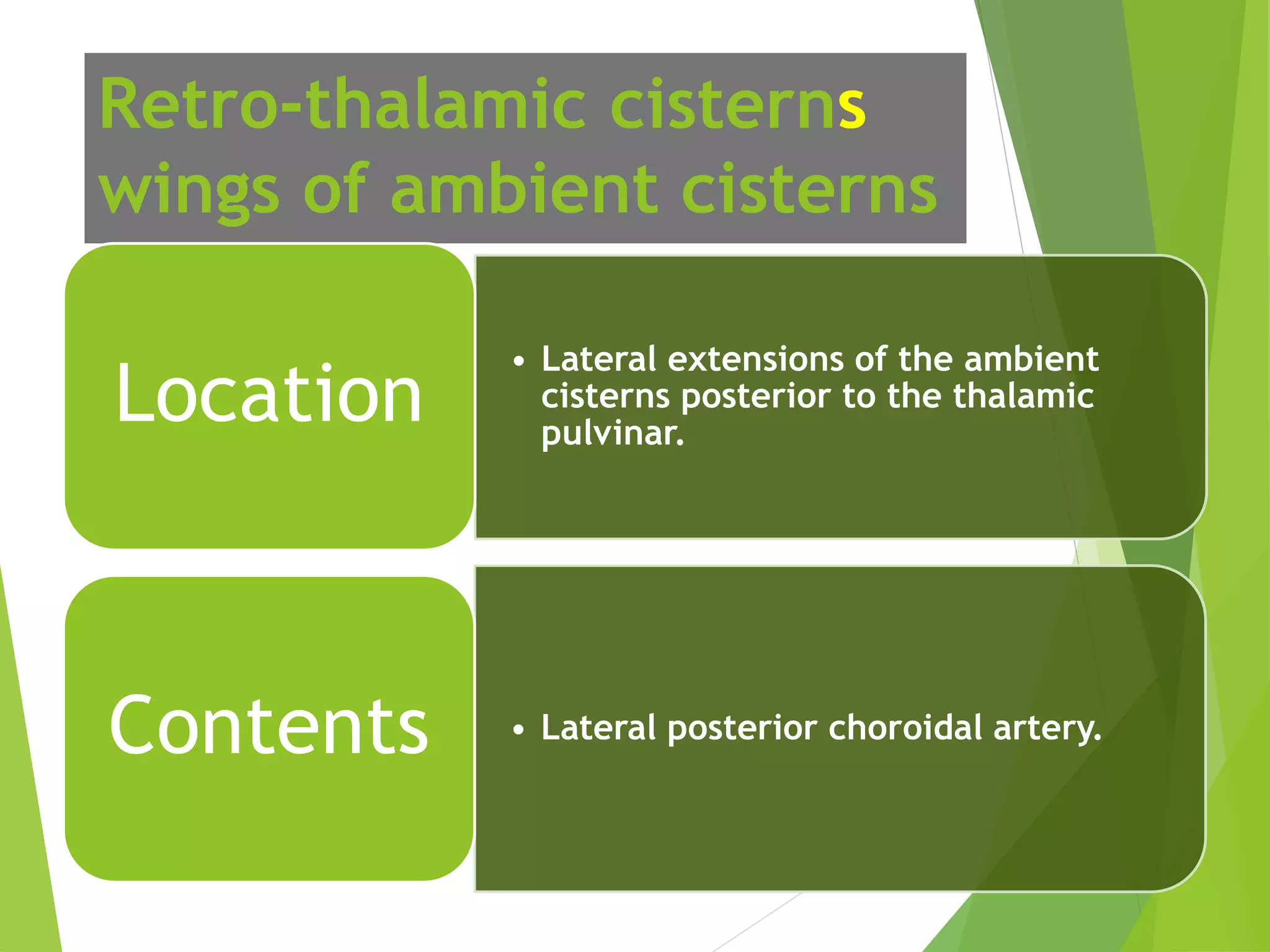 basal cisterns final.ppt