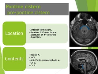 basal cisterns final.ppt