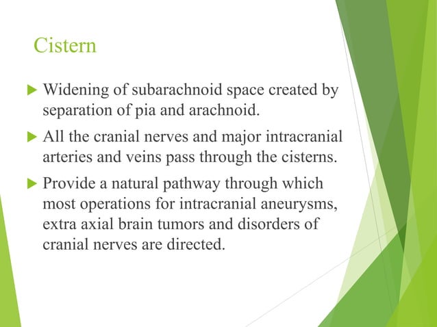basal cisterns final.ppt