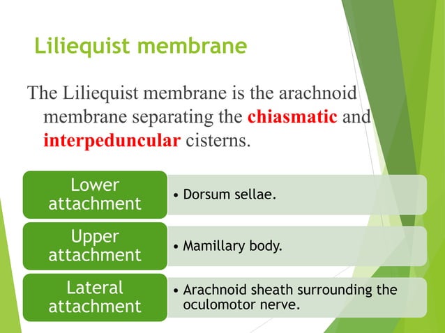 basal cisterns final.ppt