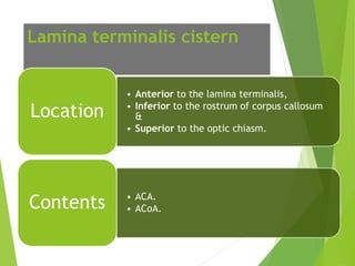 basal cisterns final.ppt