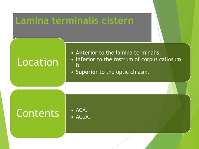 basal cisterns final.ppt