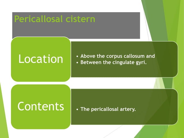 basal cisterns final.ppt