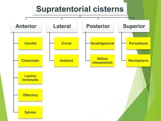 basal cisterns final.ppt