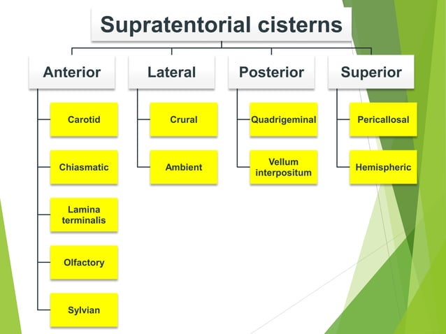 basal cisterns final.ppt