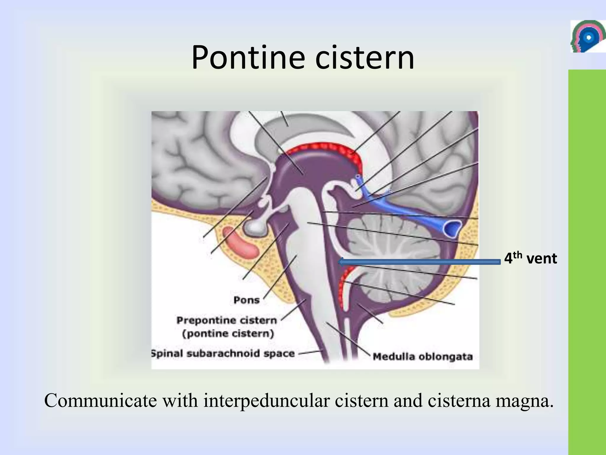 Cisterns of brain | PPTX