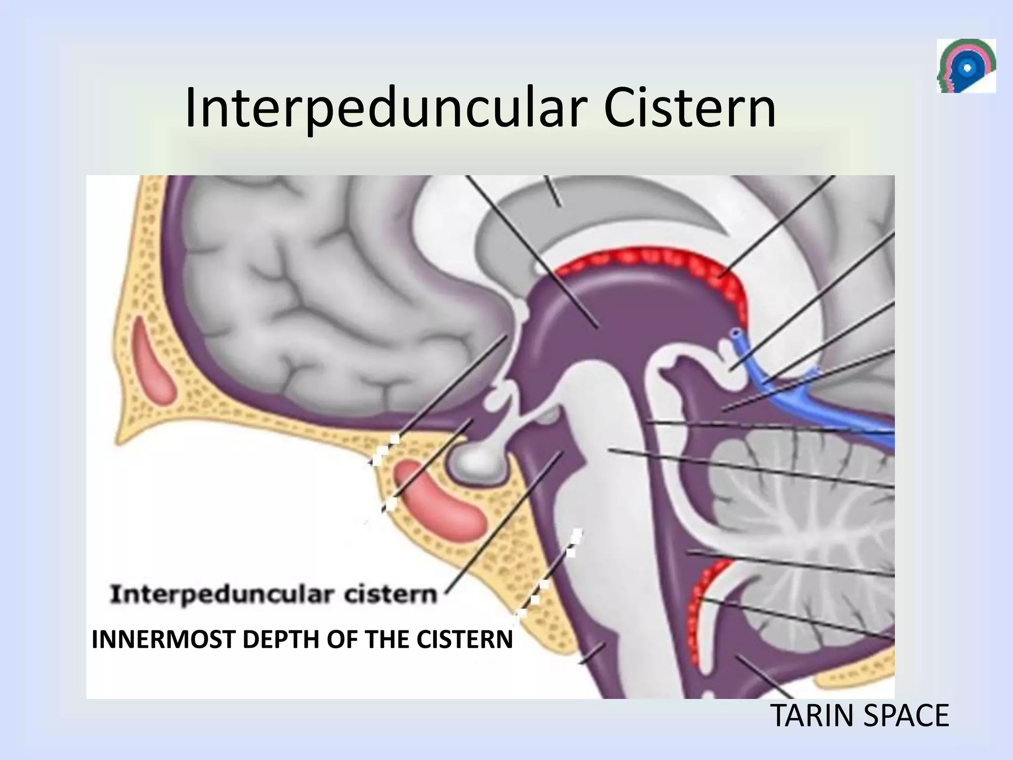 Cisterns of brain | PPTX