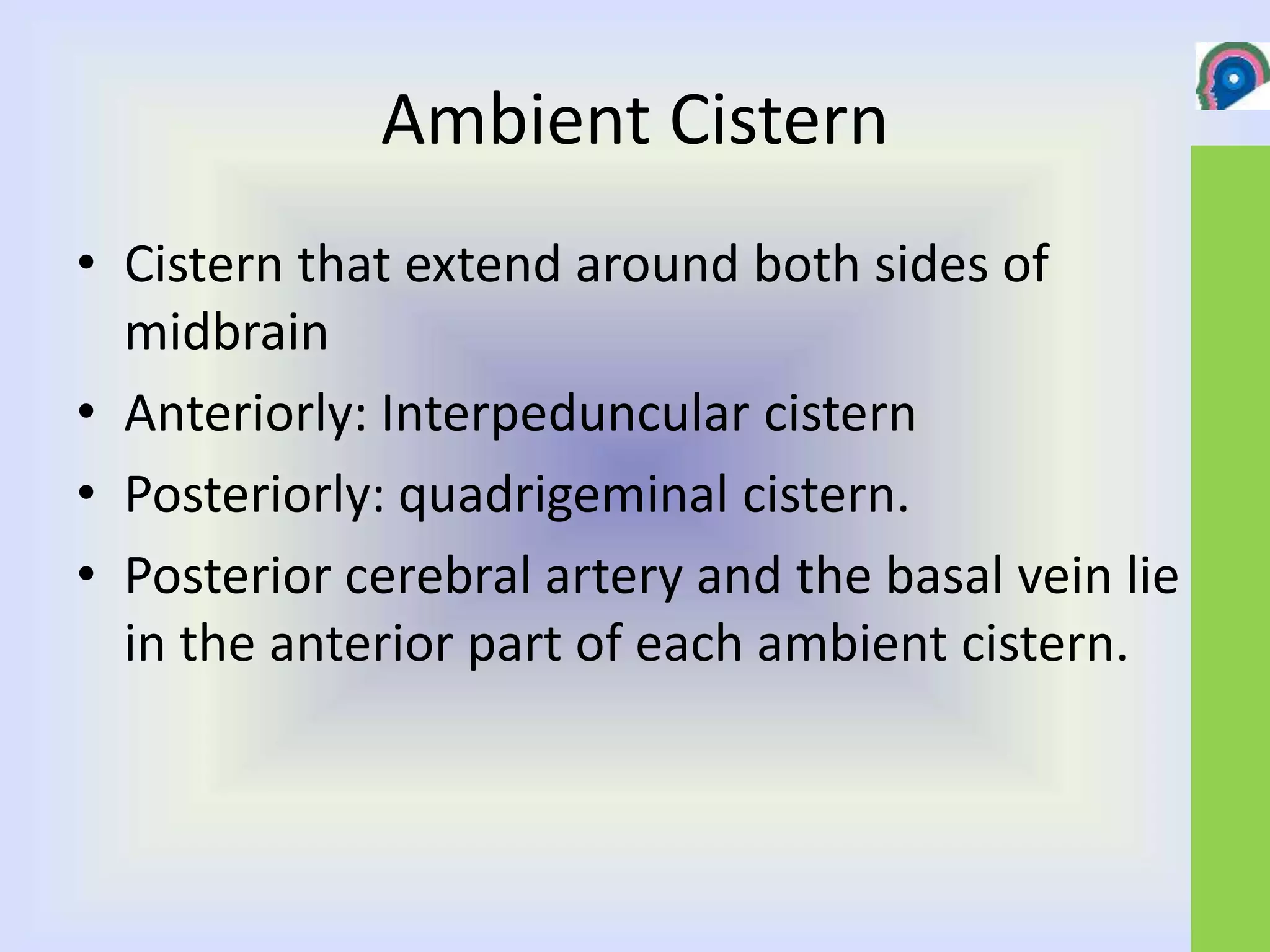 Cisterns of brain | PPTX