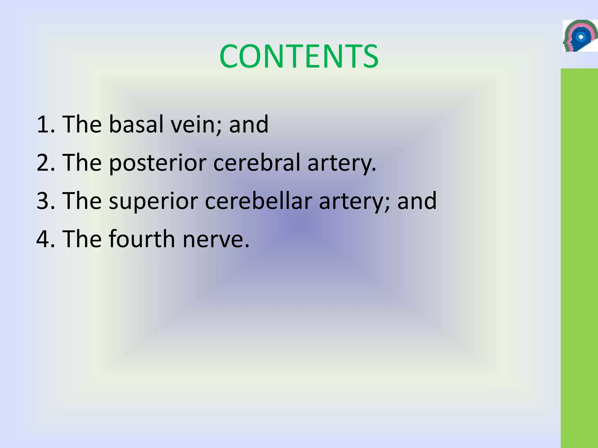 Cisterns of brain | PPTX