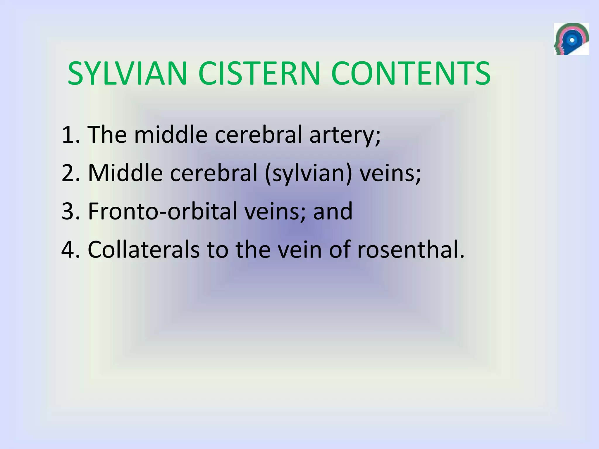 Cisterns of brain | PPTX