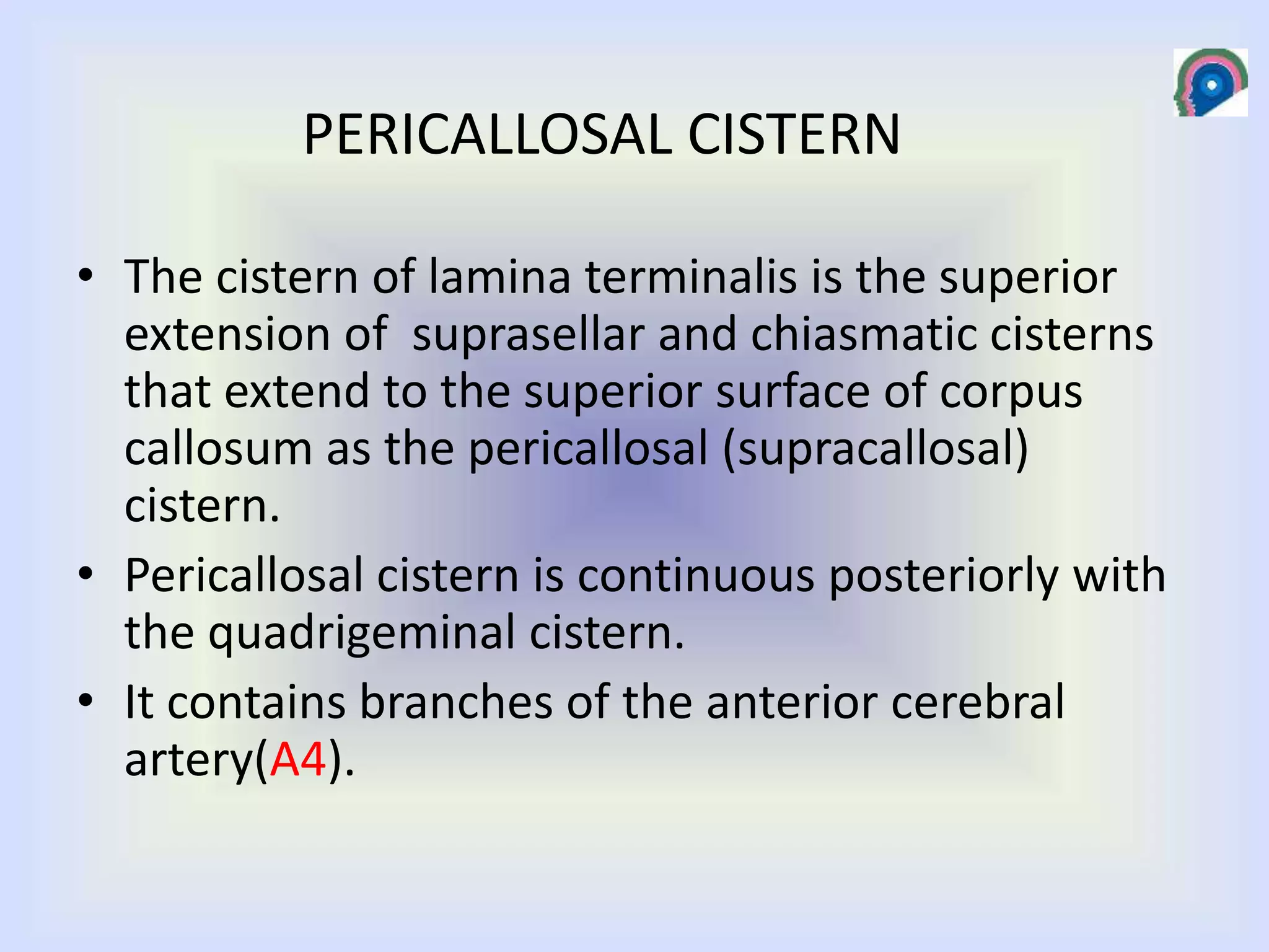 Cisterns of brain | PPTX