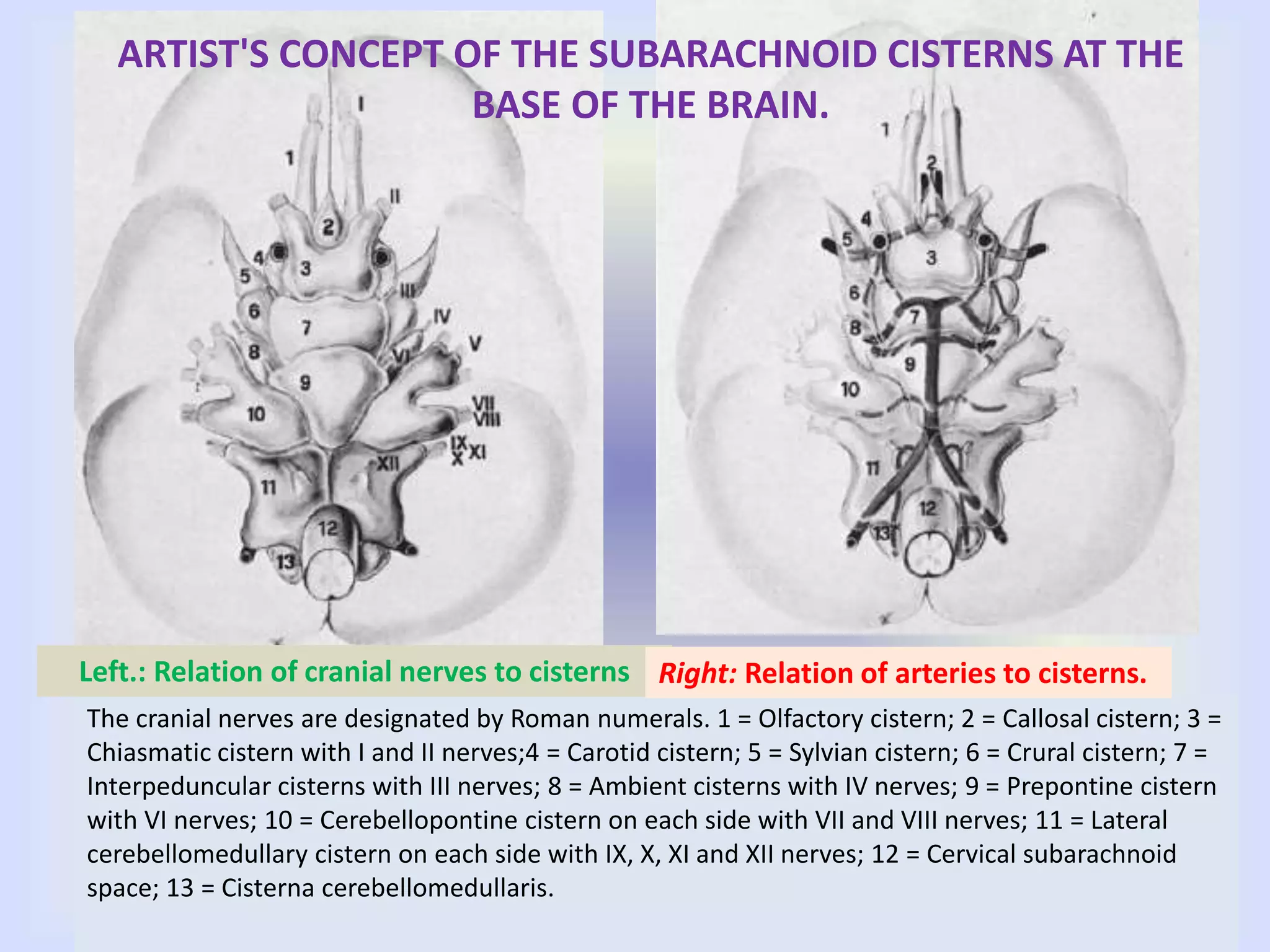 Cisterns of brain | PPTX