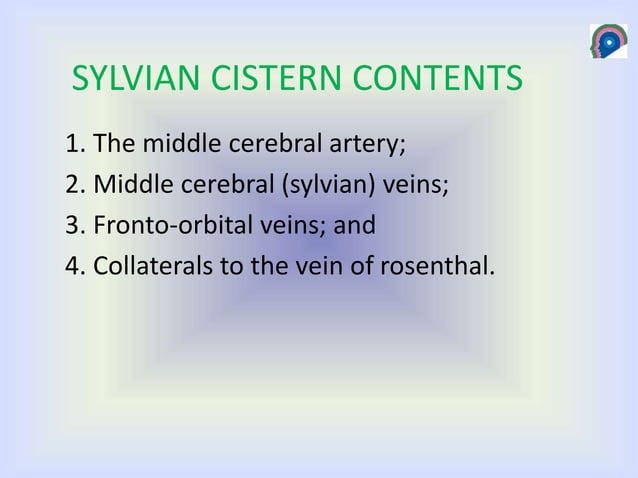 Cisterns of brain | PPTX | Brain and Nervous System Disorders ...