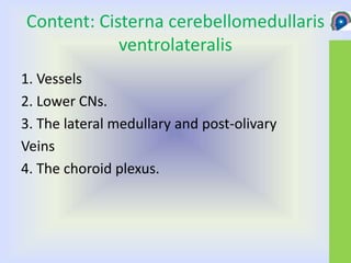 Cisterns of brain | PPTX