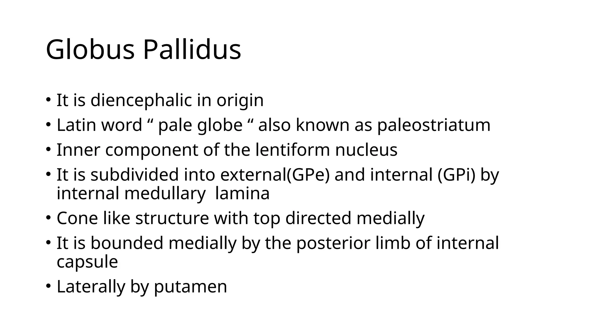 BASAL Ganglia and it's anatomy and functions | PPT