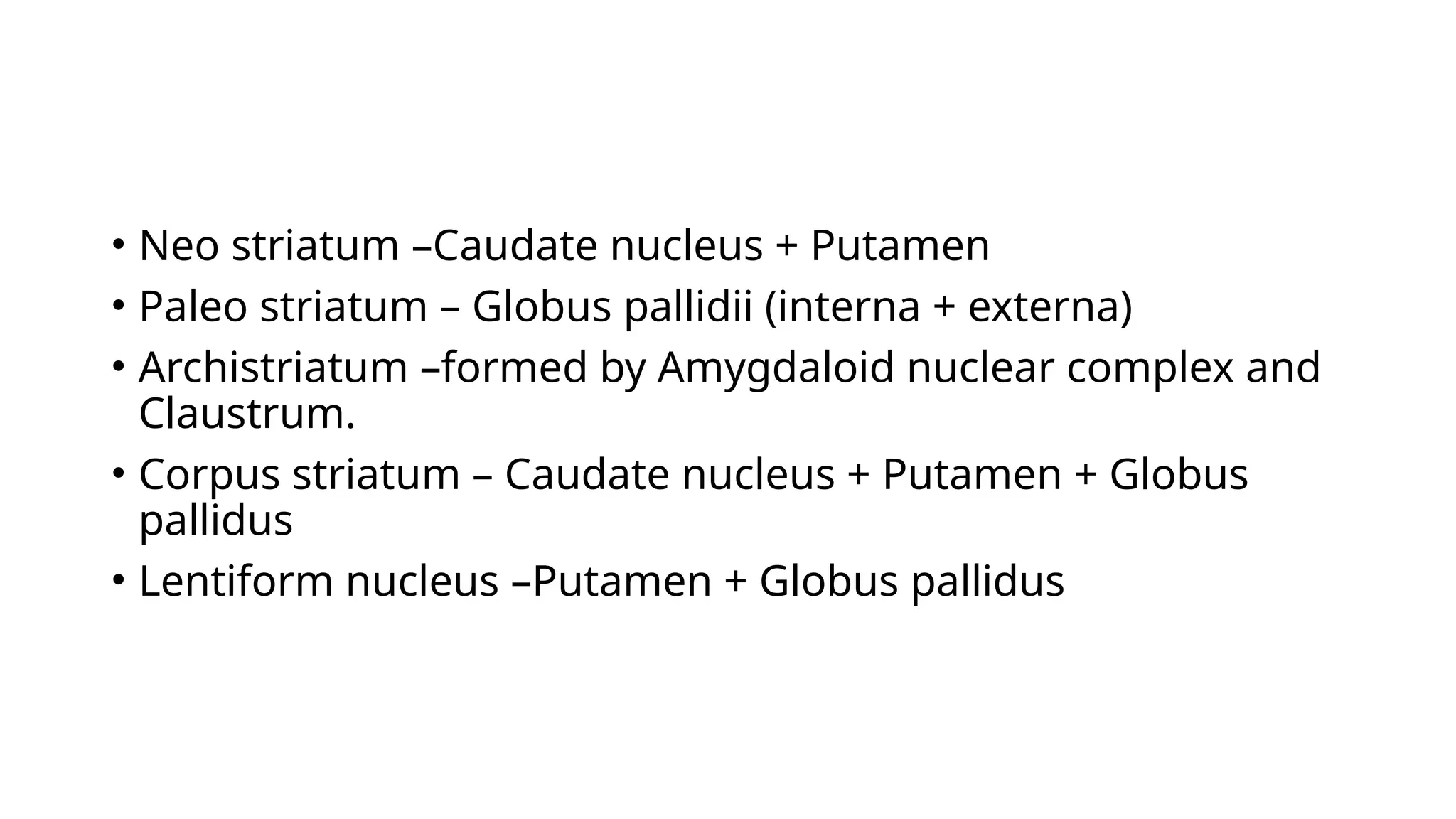 BASAL Ganglia and it's anatomy and functions | PPT