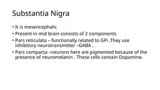 BASAL Ganglia and it's anatomy and functions | PPTX