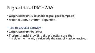 BASAL Ganglia and it's anatomy and functions | PPTX