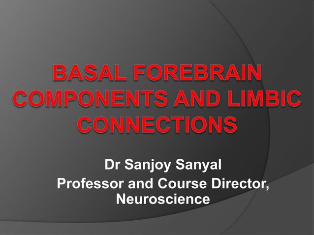 Basal Forebrain Components - Schizophrenia - Limbic Connections ...