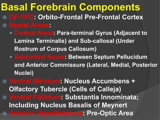 Basal Forebrain Components - Schizophrenia - Limbic Connections ...
