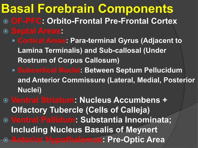 Basal Forebrain Components - Schizophrenia - Limbic Connections ...