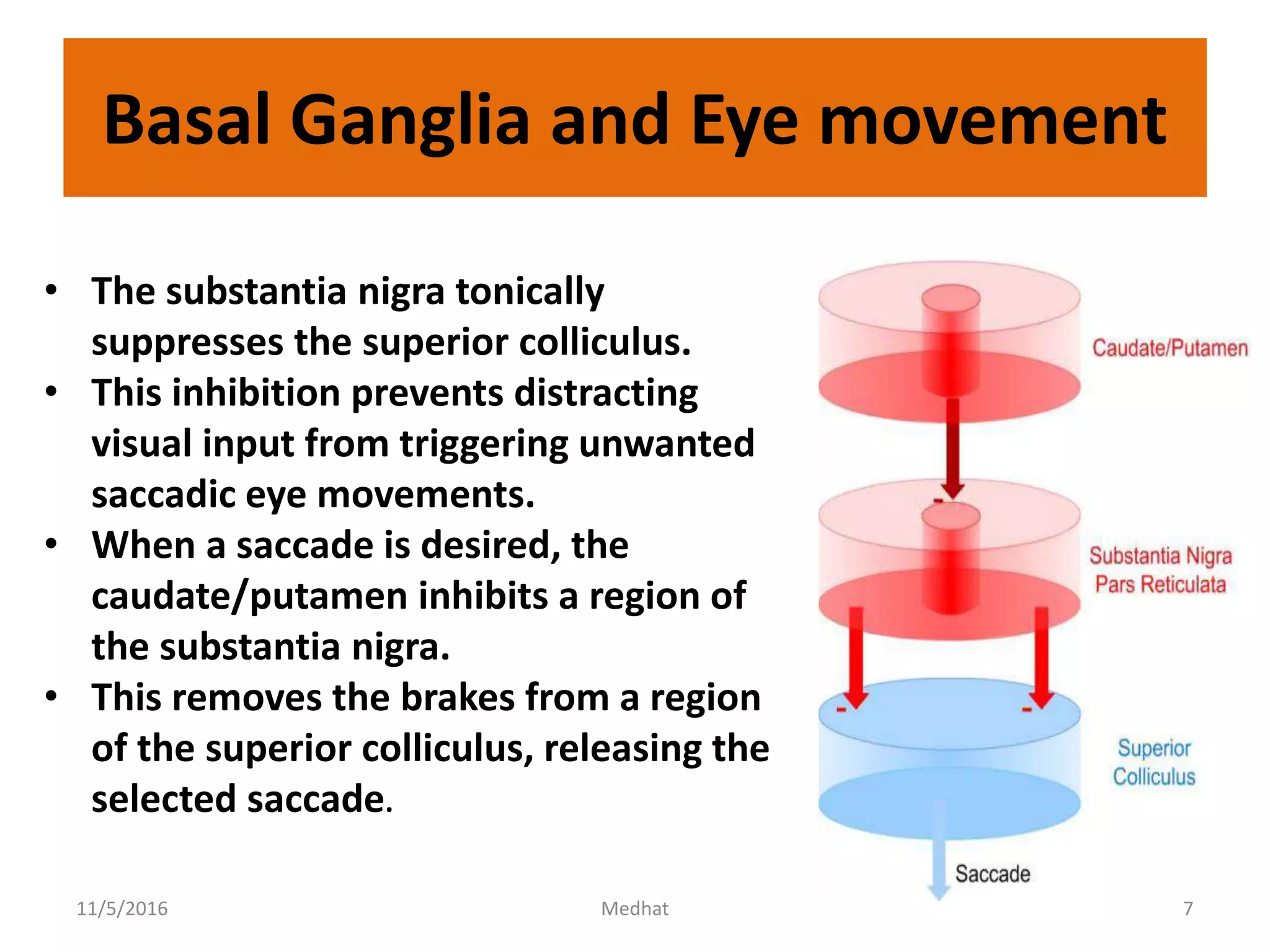 Basal ganalia :Motor function &Deep Brain stimulation (DBS) | PPTX