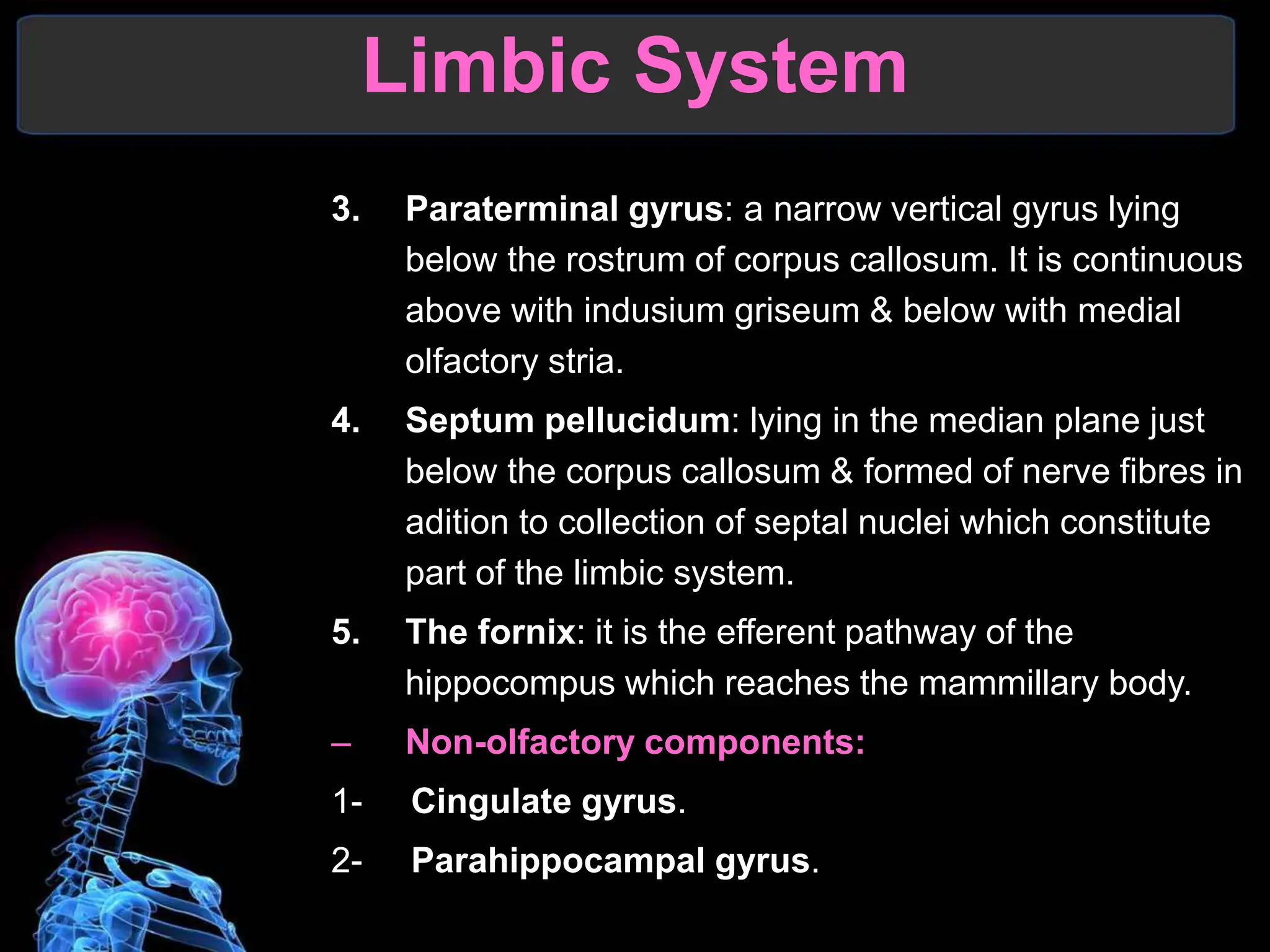 Basaaaaaaaaaaaaaaaaaaaaaaaaaaal gangli.ppt