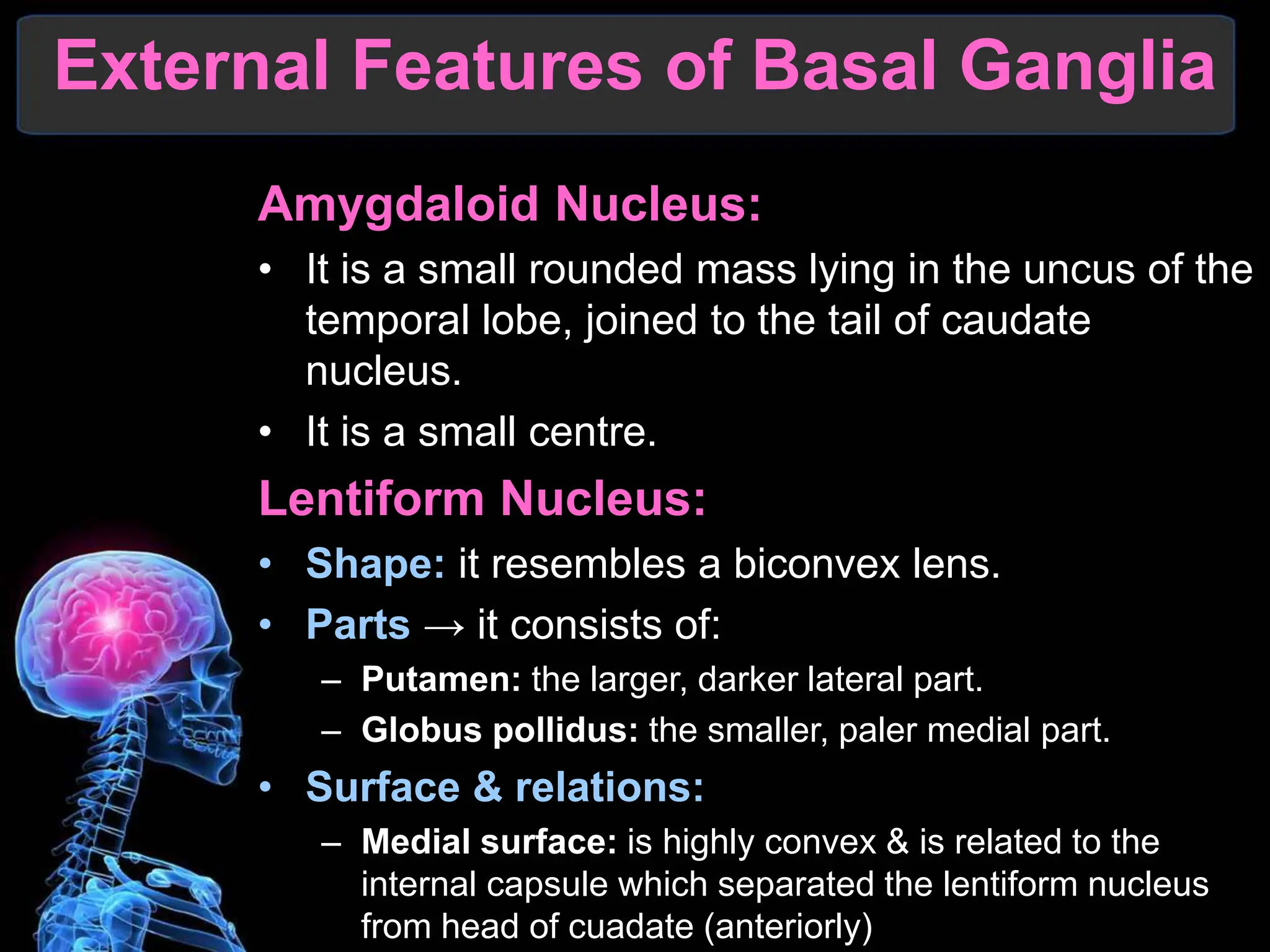 Basaaaaaaaaaaaaaaaaaaaaaaaaaaal gangli.ppt