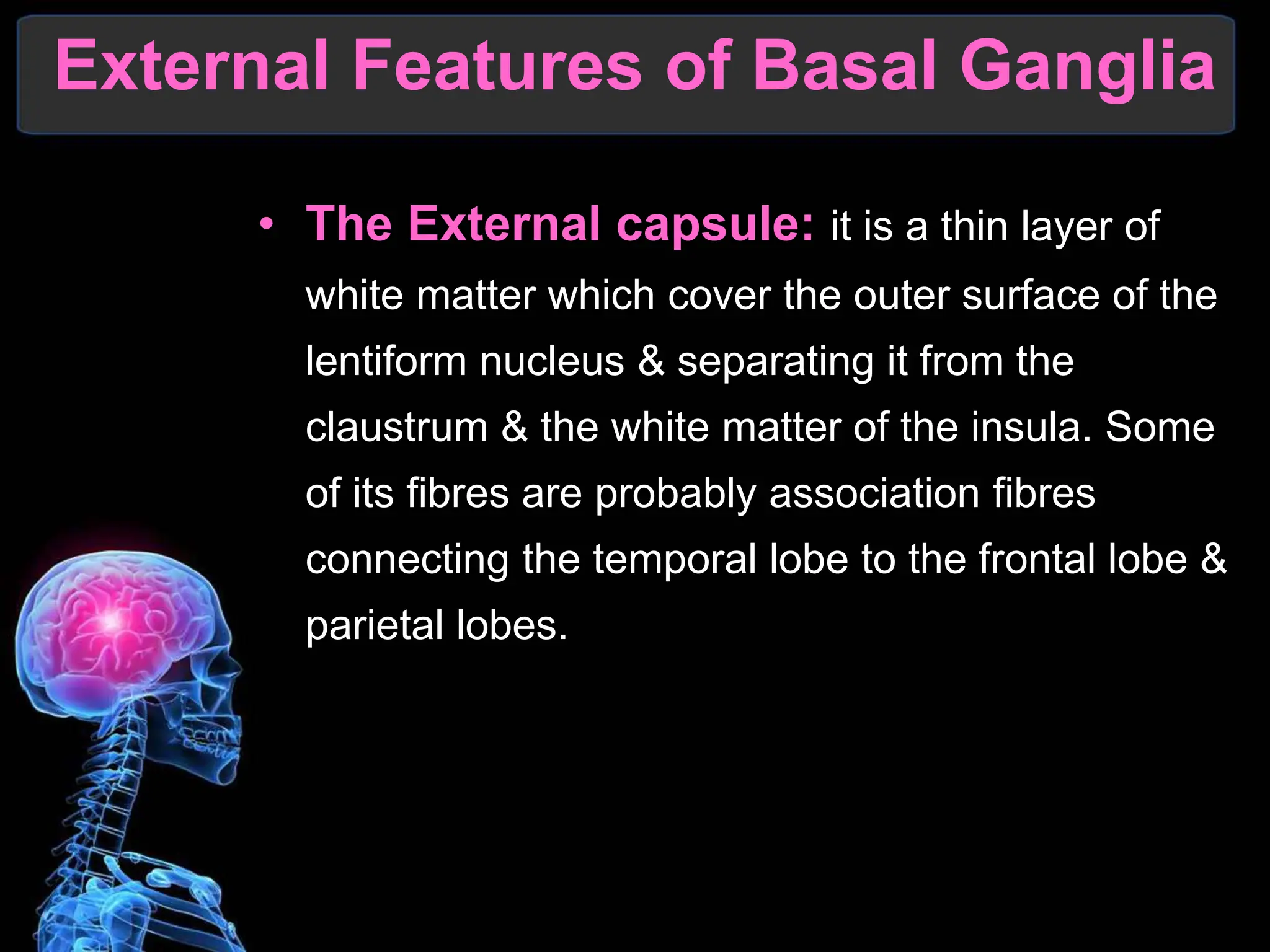 Basaaaaaaaaaaaaaaaaaaaaaaaaaaal gangli.ppt