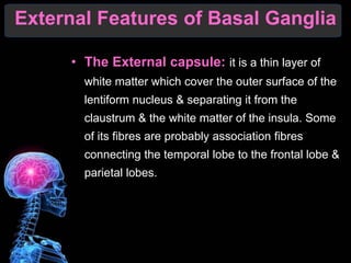 Basaaaaaaaaaaaaaaaaaaaaaaaaaaal gangli.ppt