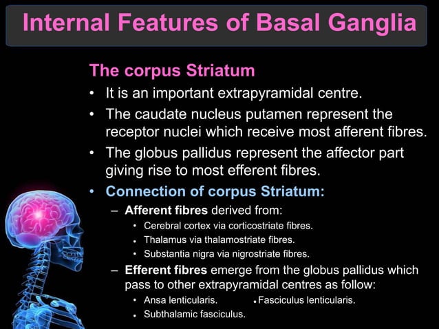 Basaaaaaaaaaaaaaaaaaaaaaaaaaaal gangli.ppt