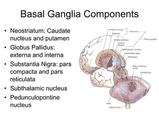 Basal ganglia 101 | PPT