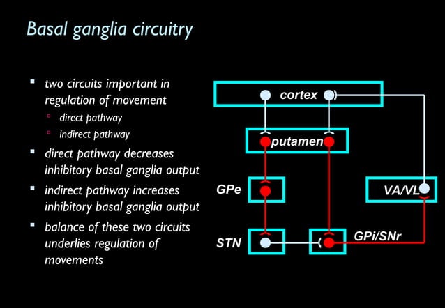 Basal ganglia - Anatomy, Neurochemistry, Connections, Disorders | PPT