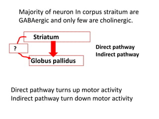 Anatomy of Basal ganglia | PPTX