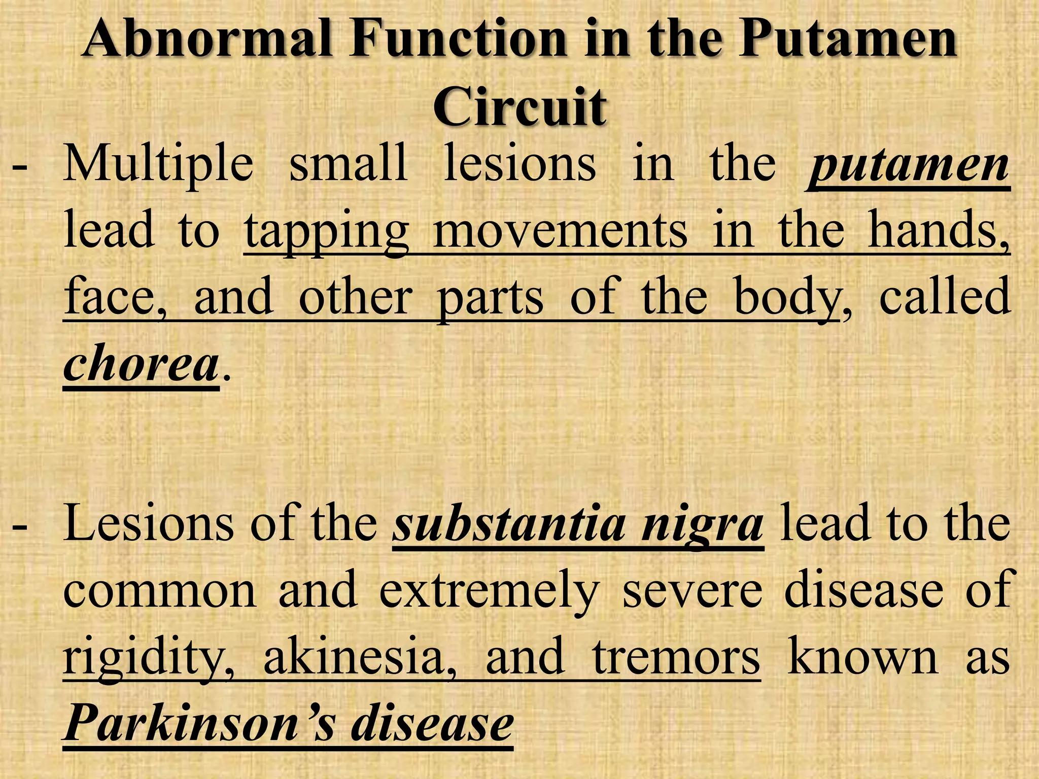 Basal ganglia | PPTX